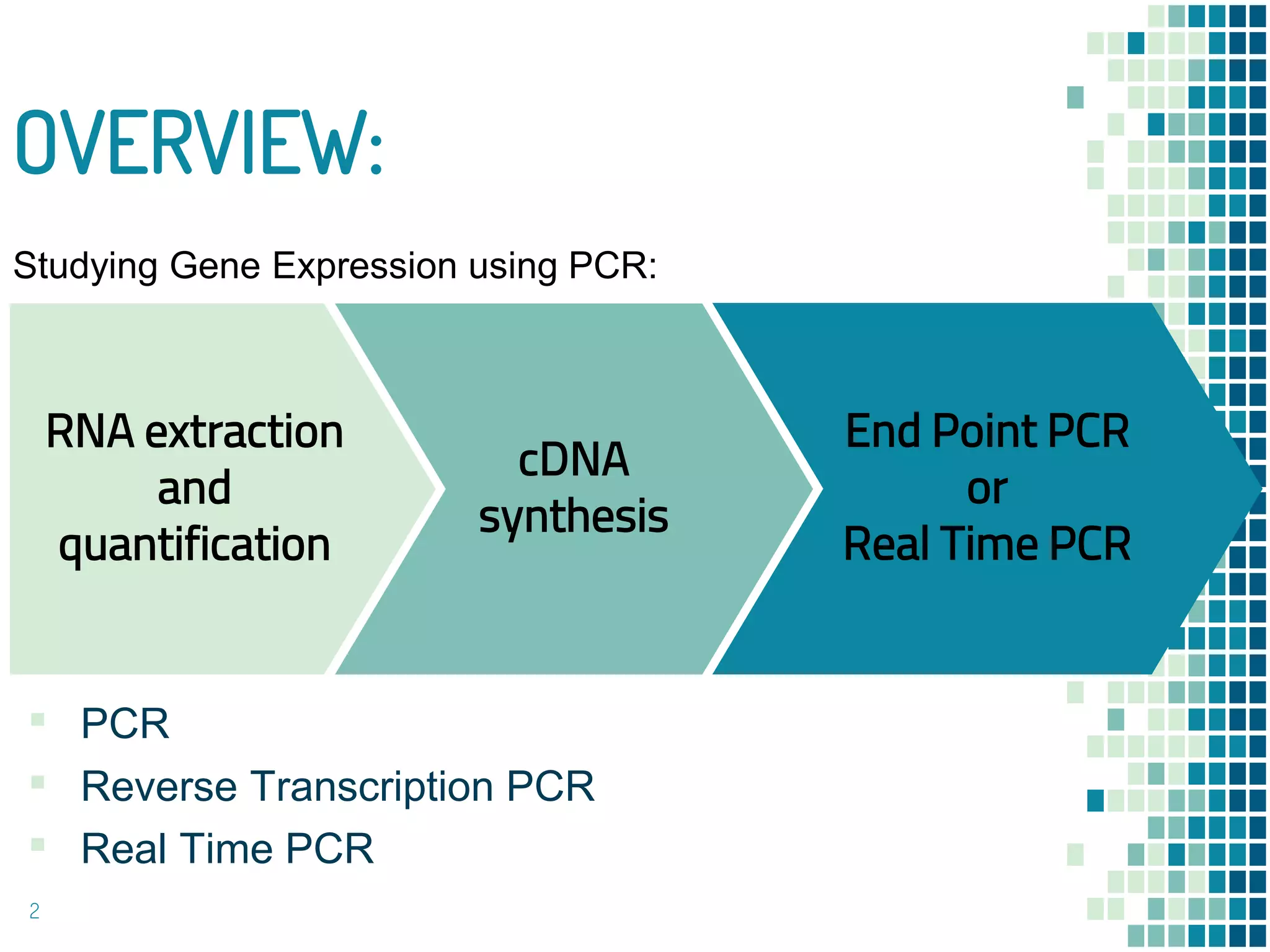 Real Time PCR | PPTX