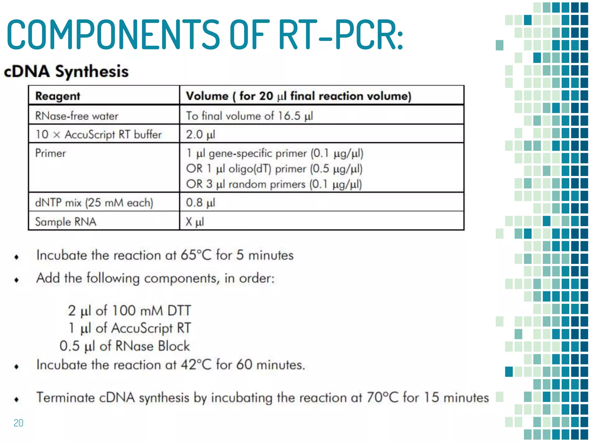 Real Time PCR | PPTX