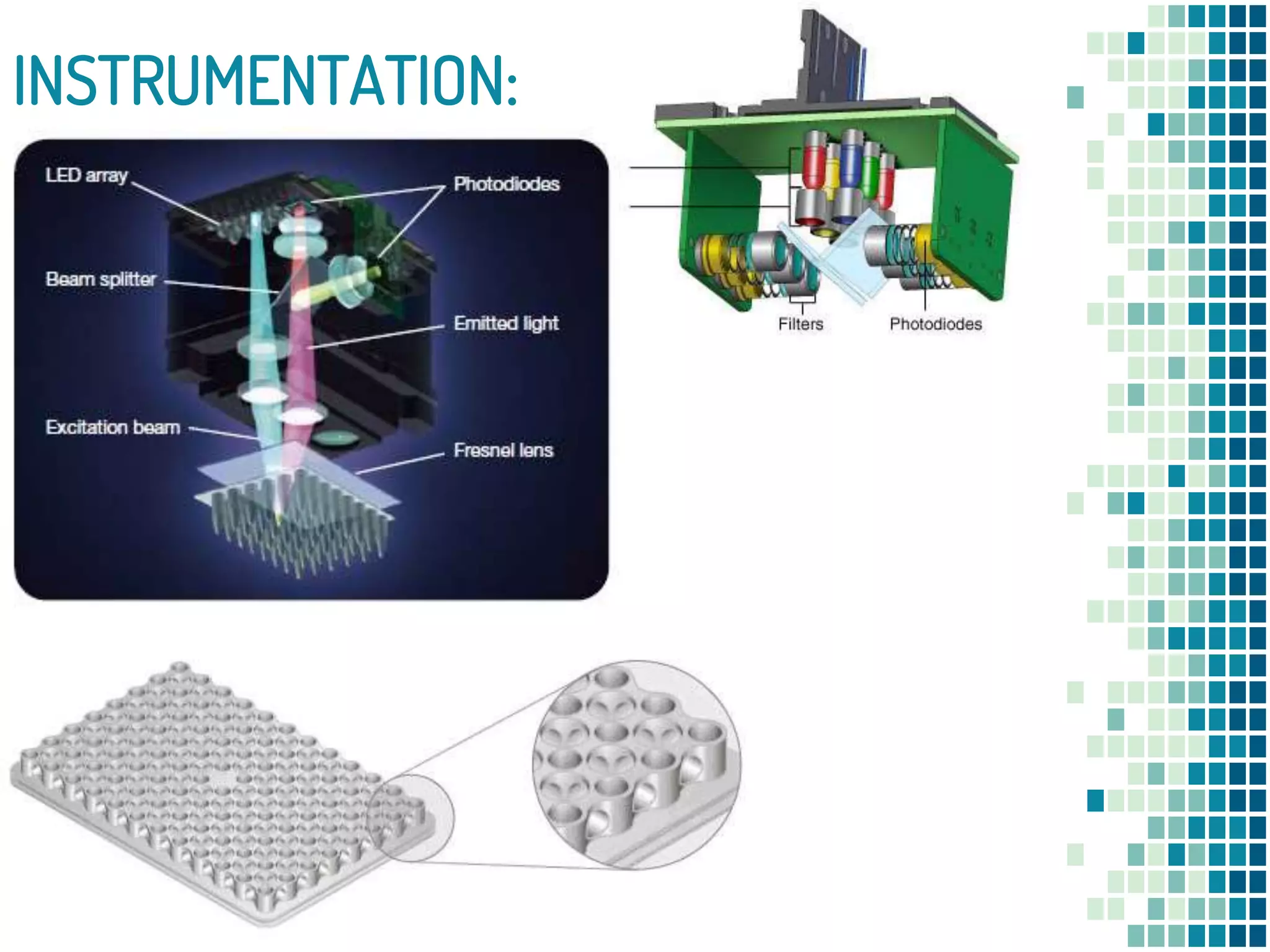 Real Time PCR | PPTX