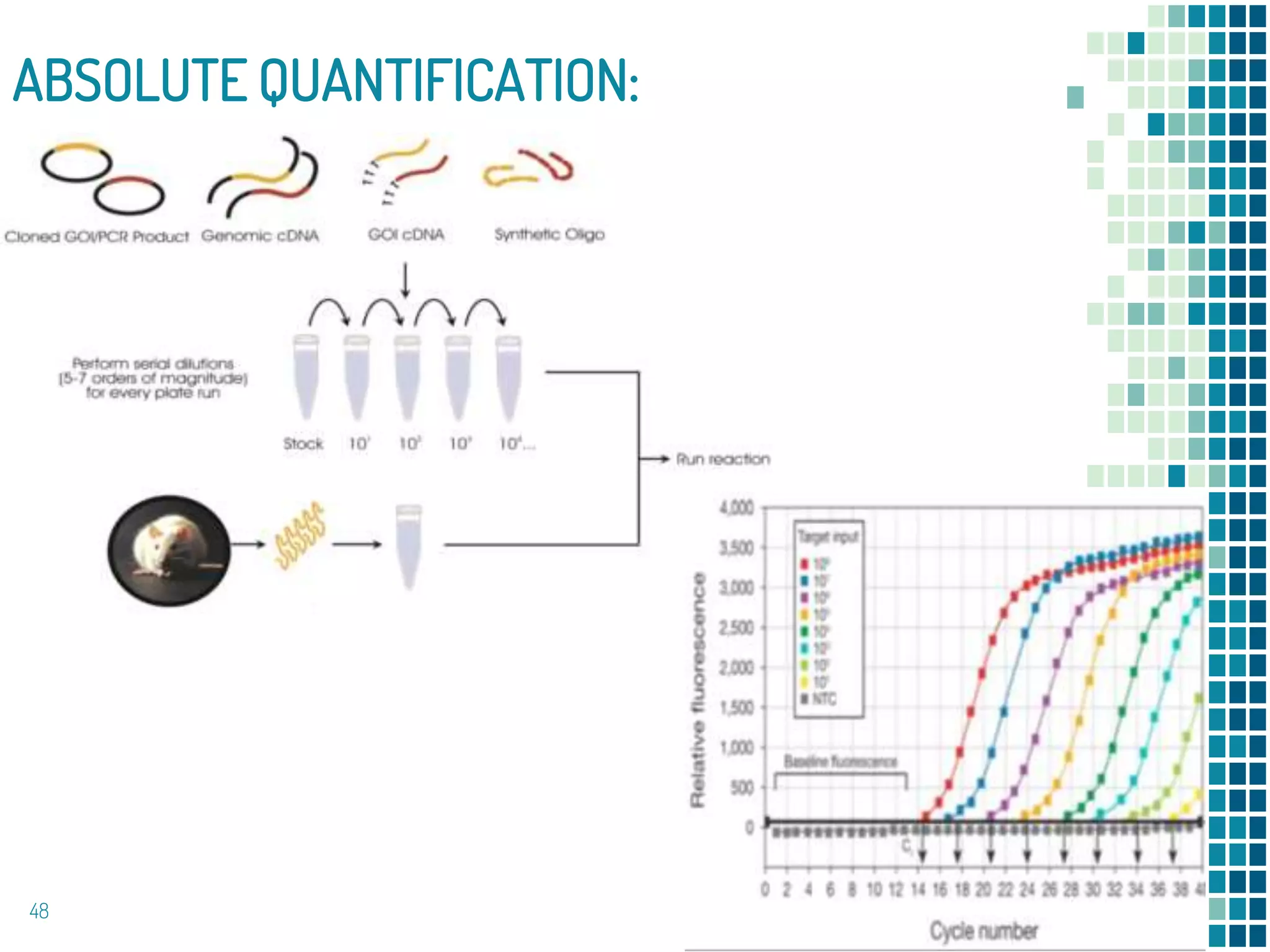 Real Time PCR | PPTX