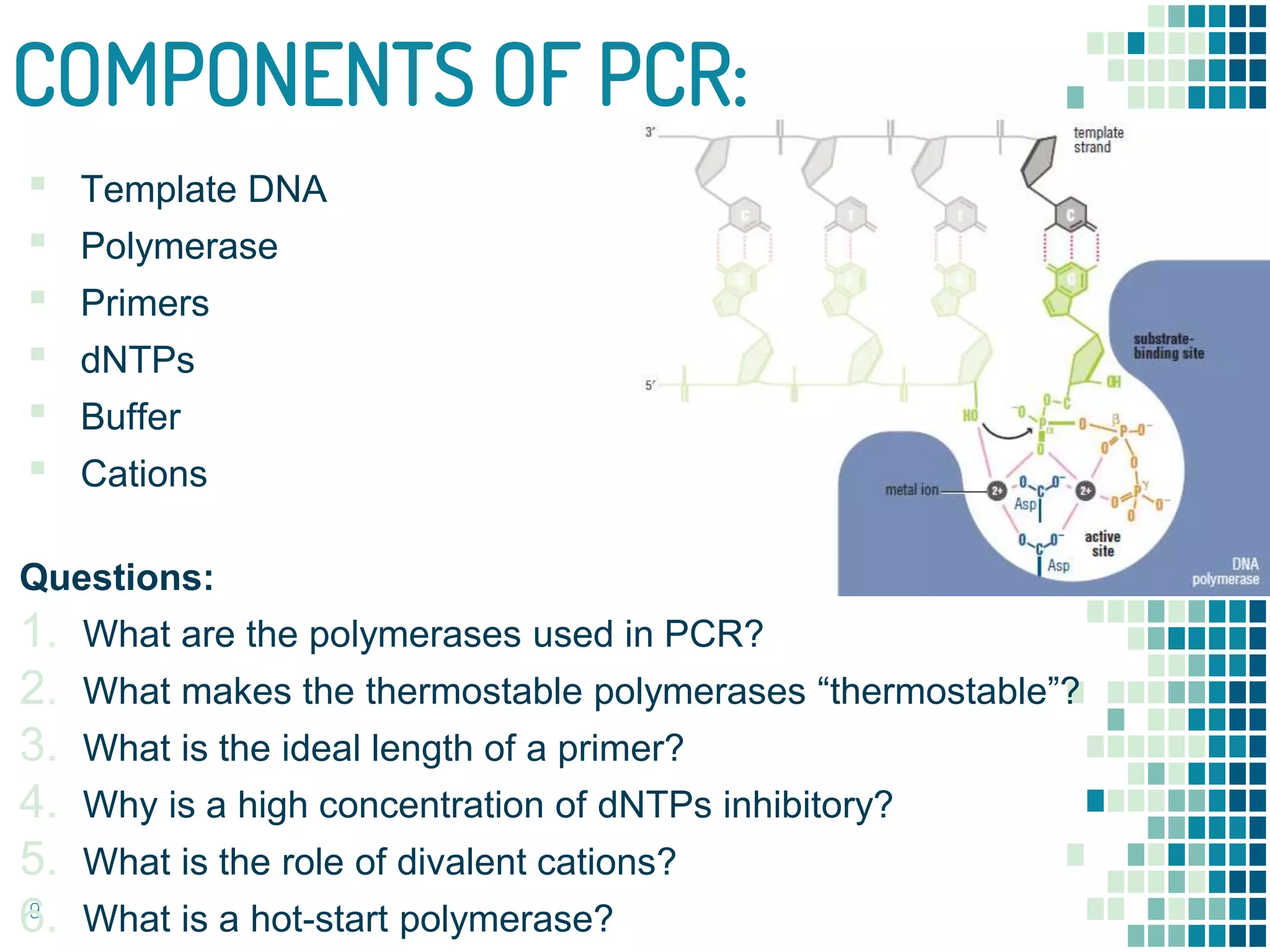 Real Time PCR | PPTX
