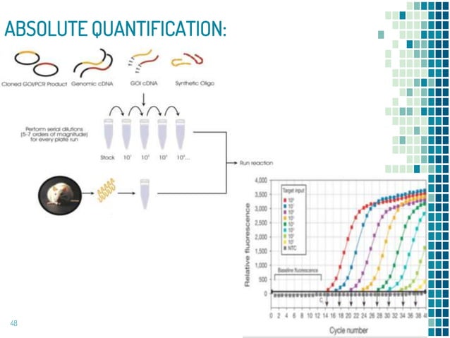 Real Time PCR | PPTX