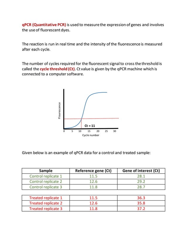 How To Analyze QPCR Data DOCX Genetics Science How To Analyze QPCR Data DOCX Genetics Science