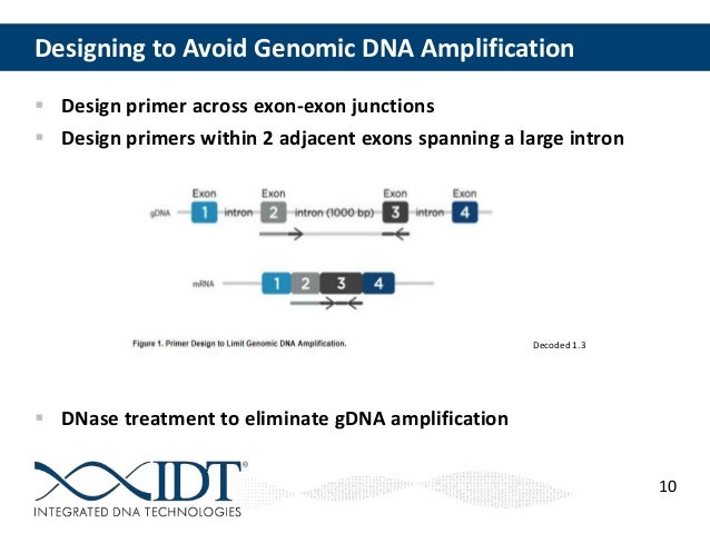 qPCR Design Strategies for Specific Applications