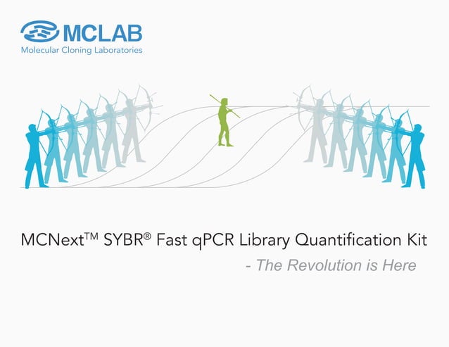 MCNext Sybr qPCR quantification Kit | PPT