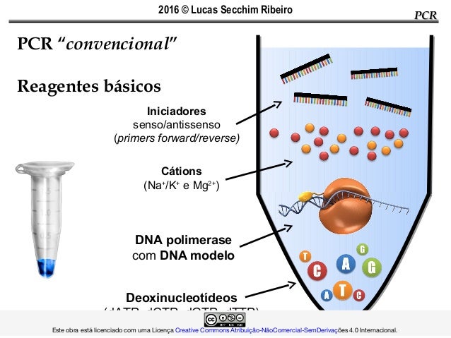PCR Quantitativa - Lucas Secchim Ribeiro (PGMicro UFMG 2016-1)