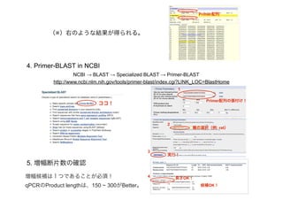 qPCR_primer_construction_ver_1.0 | PPT