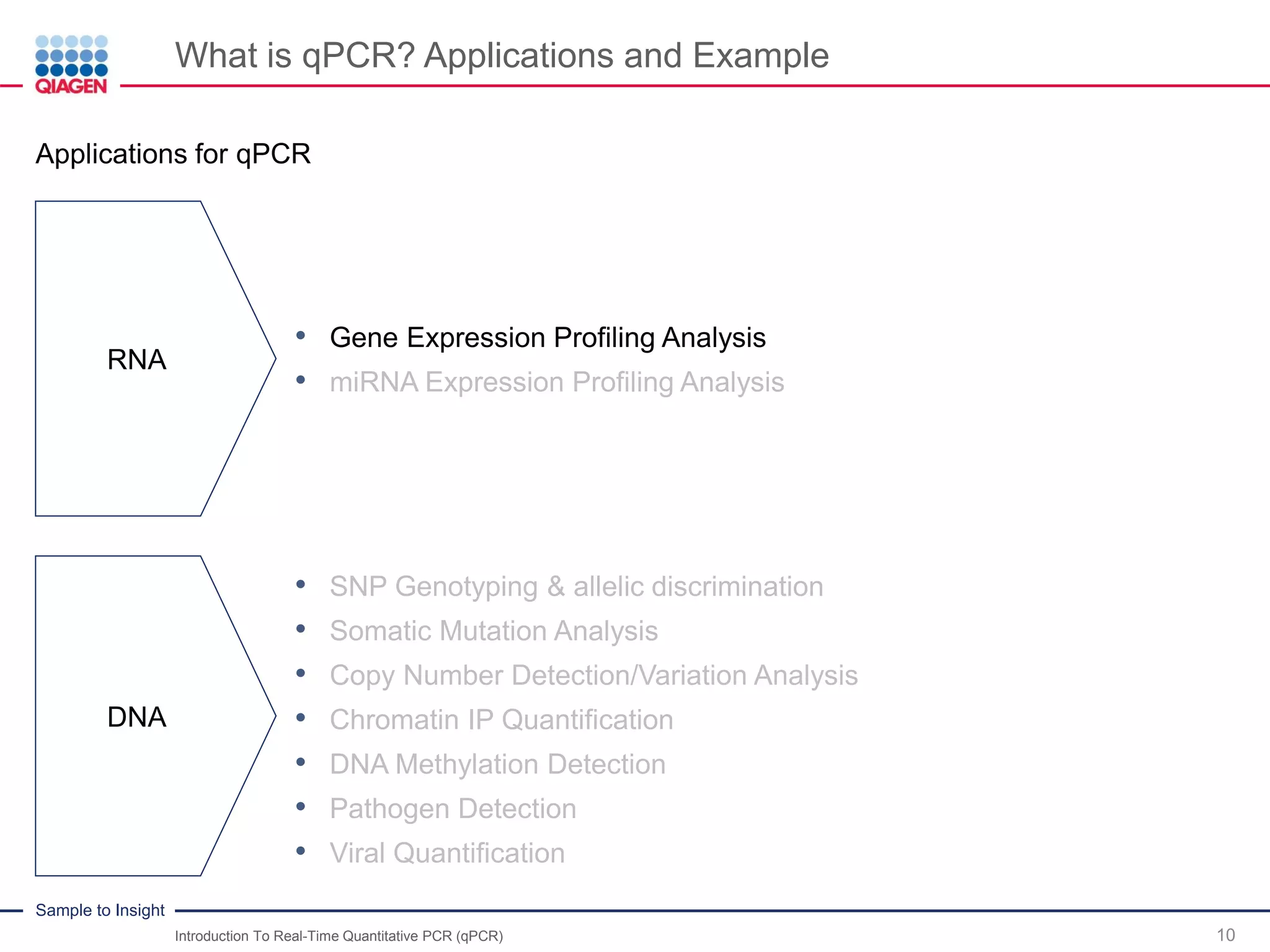 Introduction to real-Time Quantitative PCR (qPCR) - Download the slides ...
