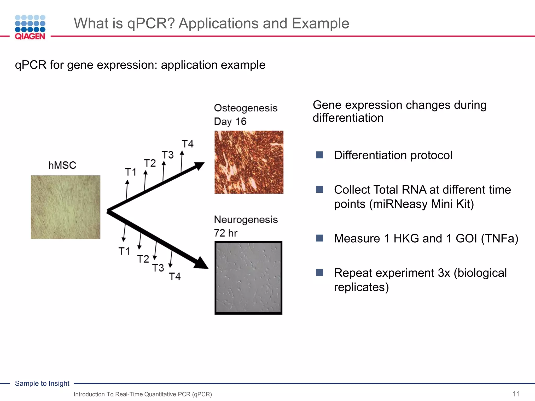 Introduction to real-Time Quantitative PCR (qPCR) - Download the slides | PDF