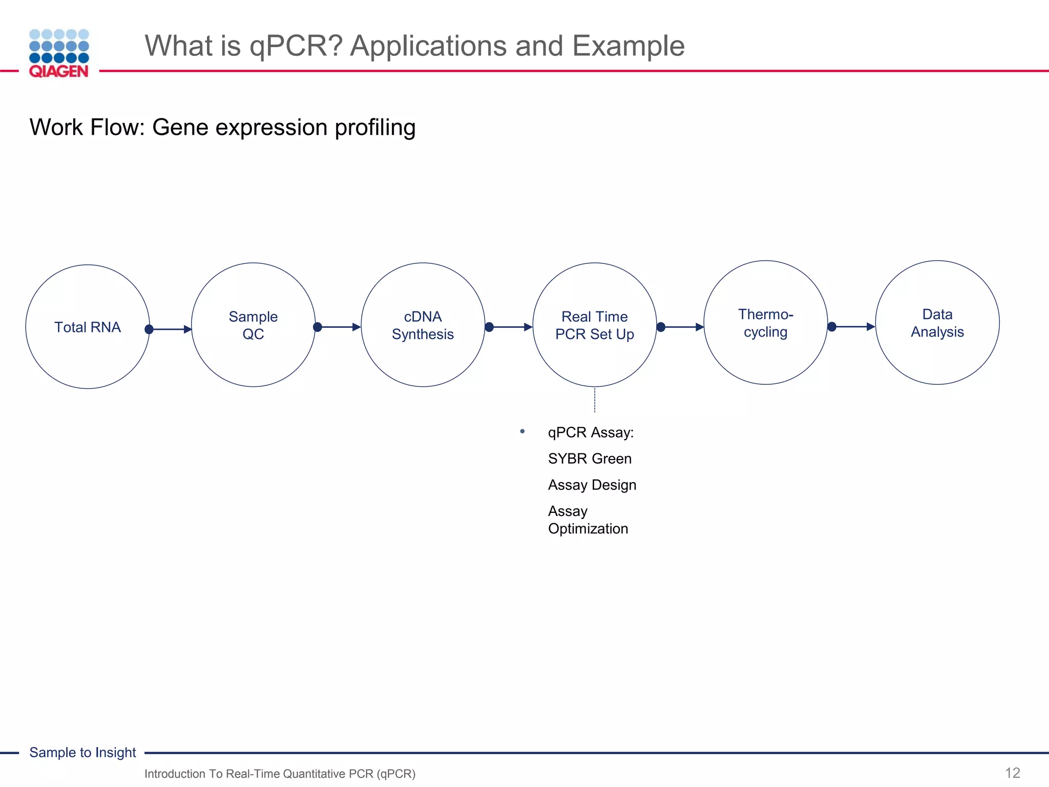 Introduction to real-Time Quantitative PCR (qPCR) - Download the slides ...