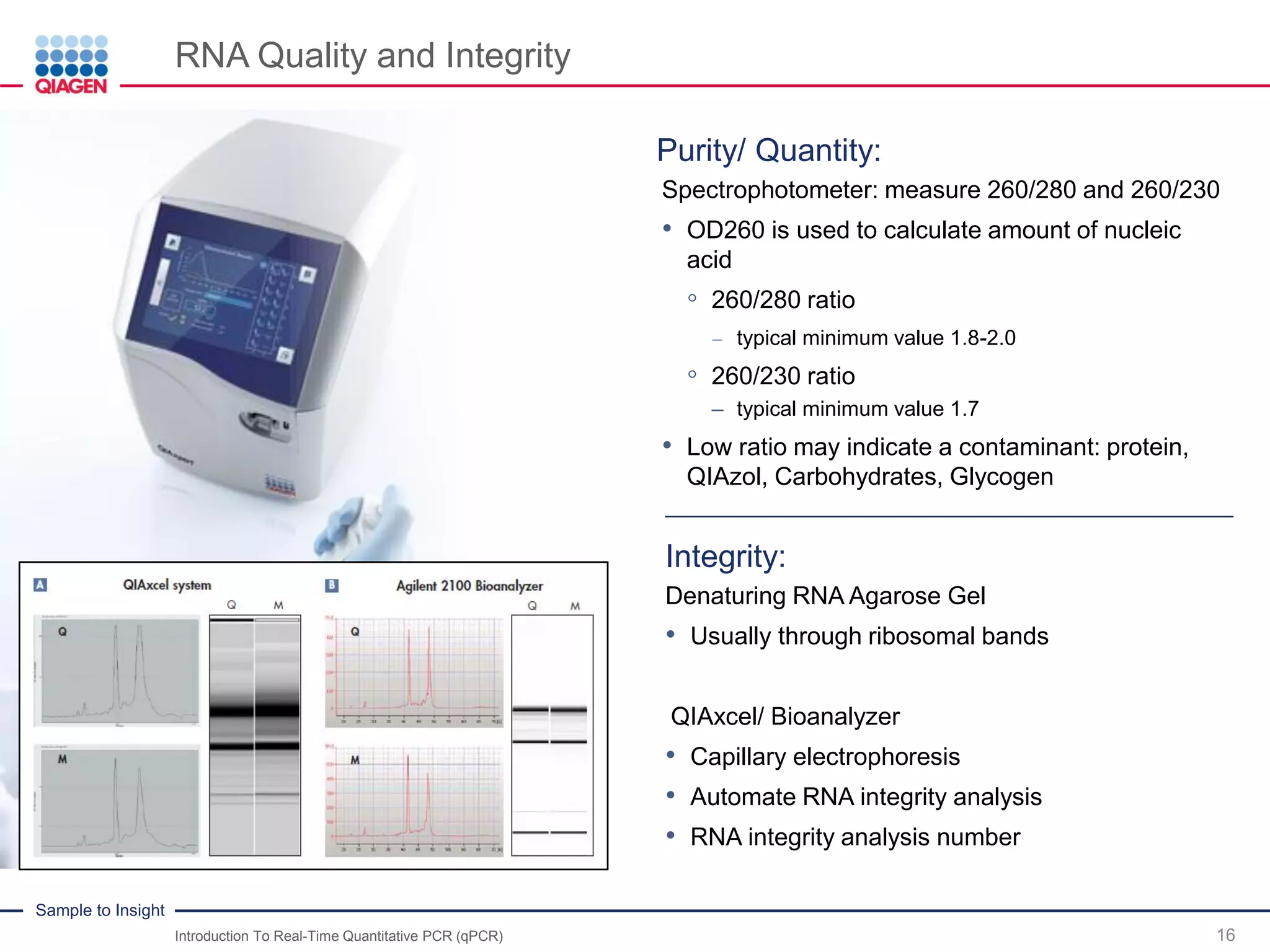 Introduction to real-Time Quantitative PCR (qPCR) - Download the slides ...