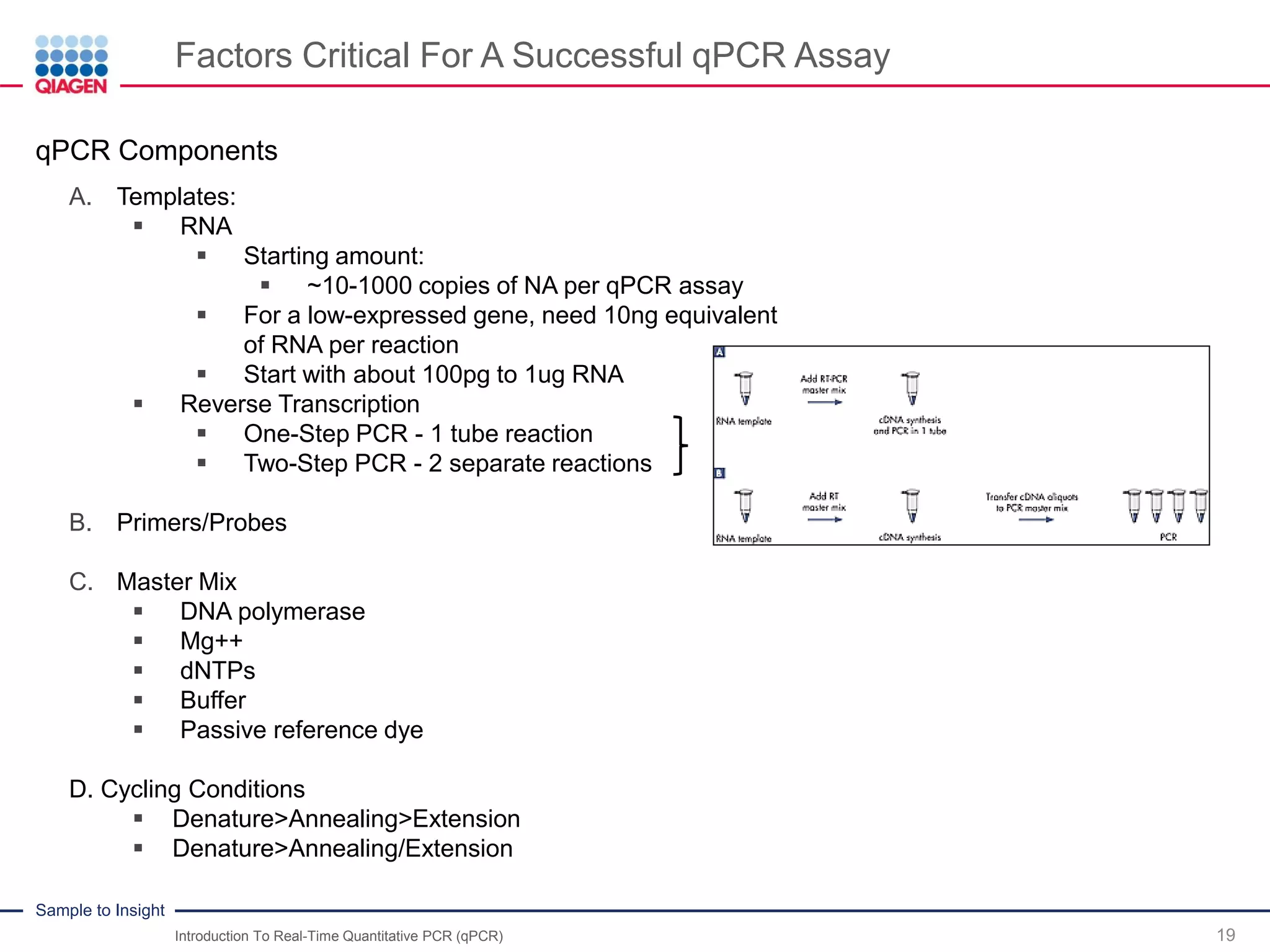 Introduction to real-Time Quantitative PCR (qPCR) - Download the slides ...