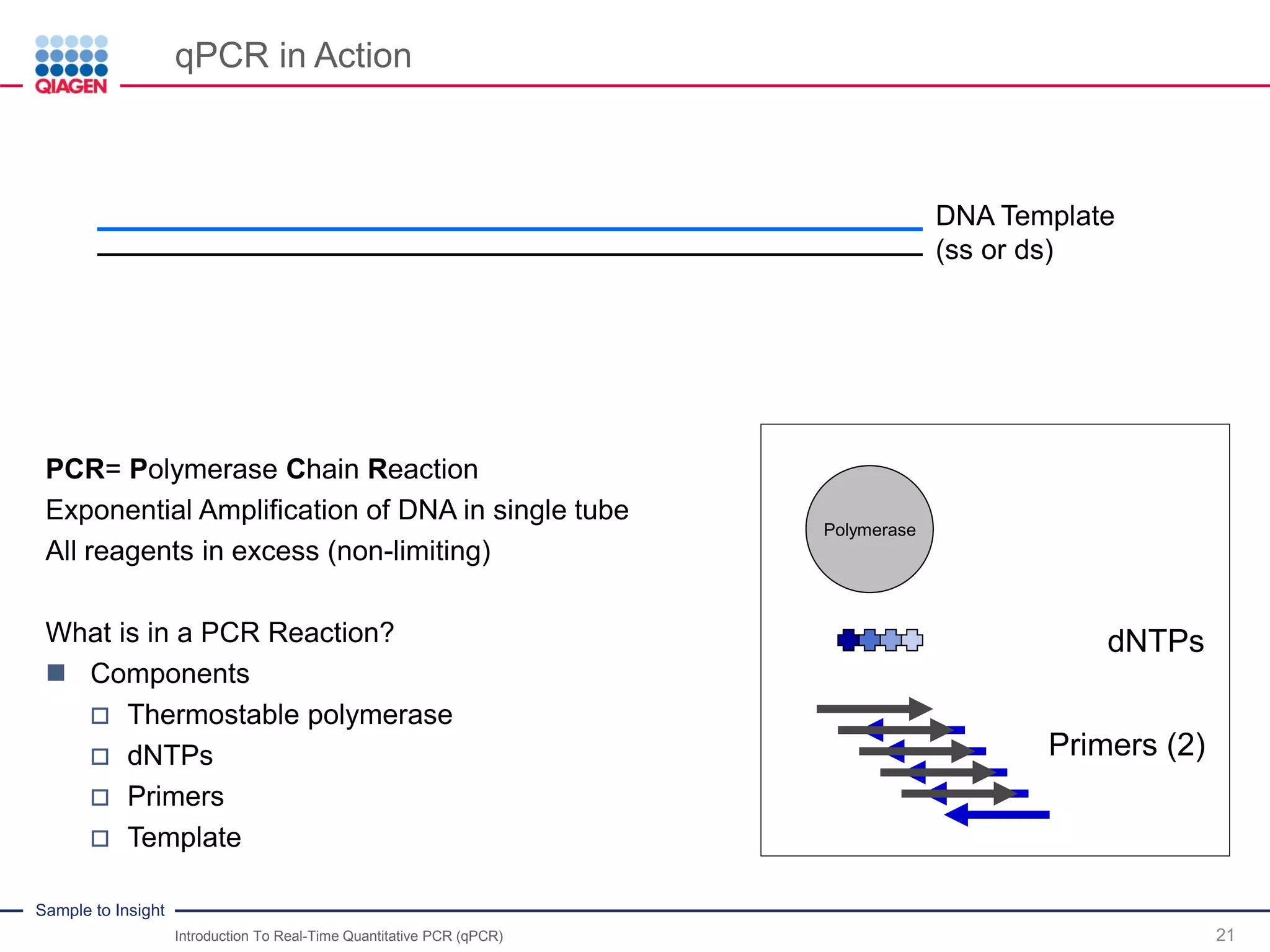 Introduction to real-Time Quantitative PCR (qPCR) - Download the slides | PDF