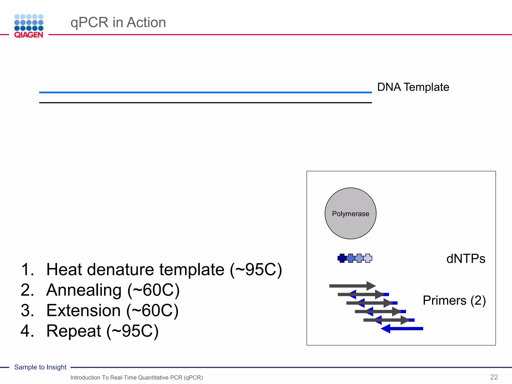 Introduction to real-Time Quantitative PCR (qPCR) - Download the slides | PDF