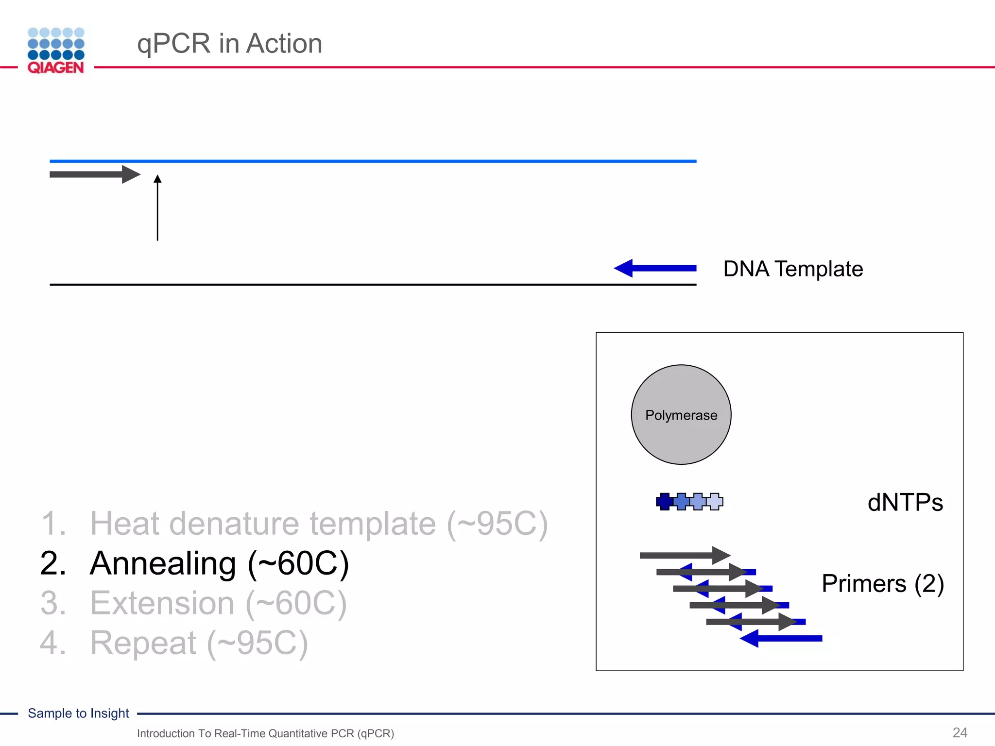 Introduction to real-Time Quantitative PCR (qPCR) - Download the slides ...