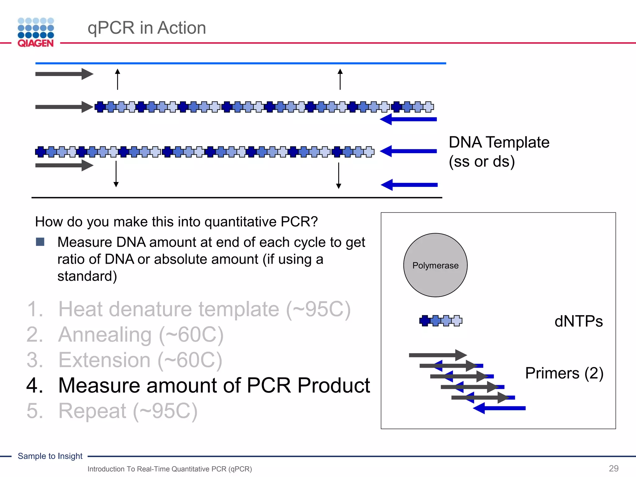 Introduction to real-Time Quantitative PCR (qPCR) - Download the slides | PDF