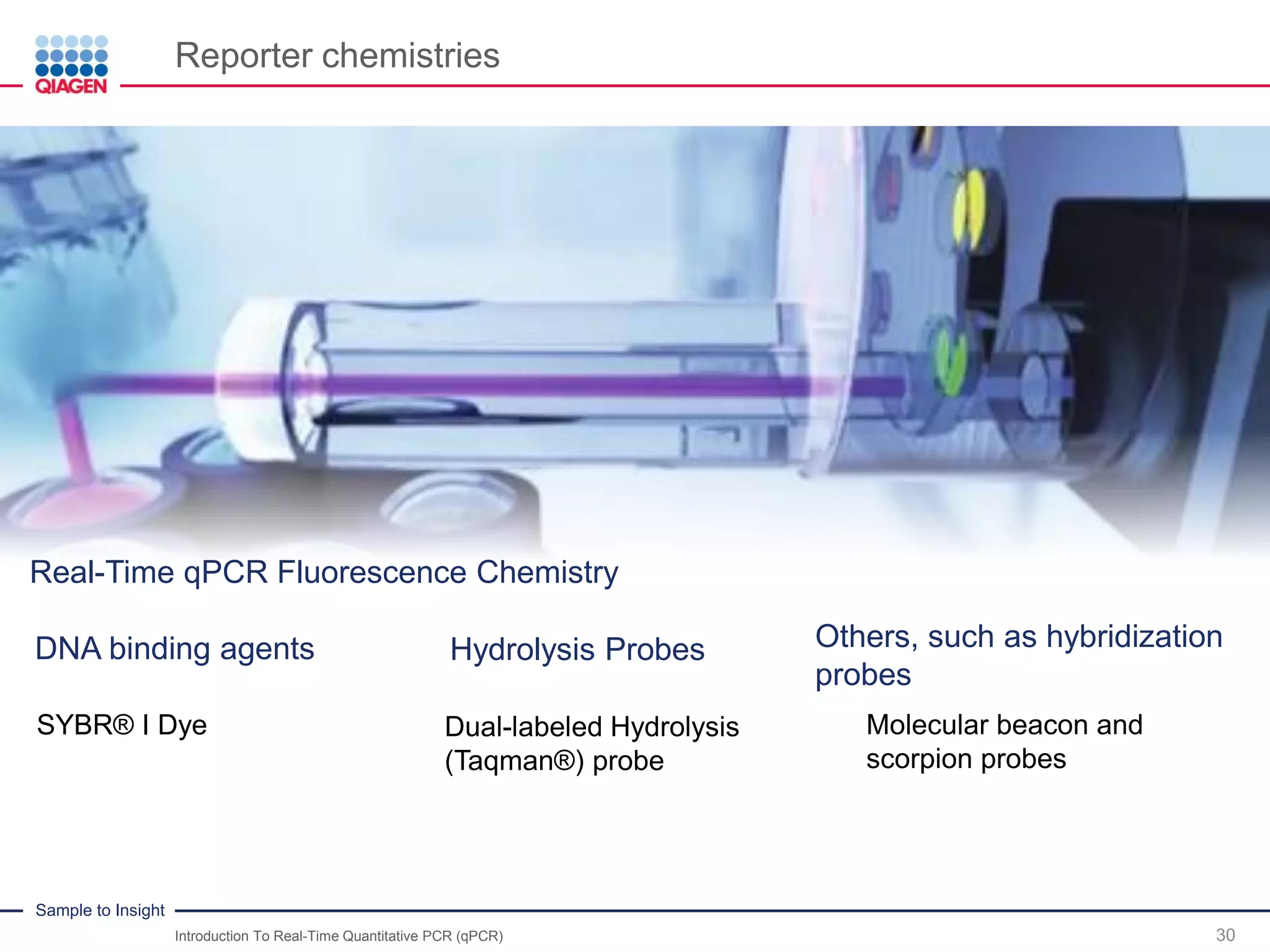 Introduction to real-Time Quantitative PCR (qPCR) - Download the slides | PDF