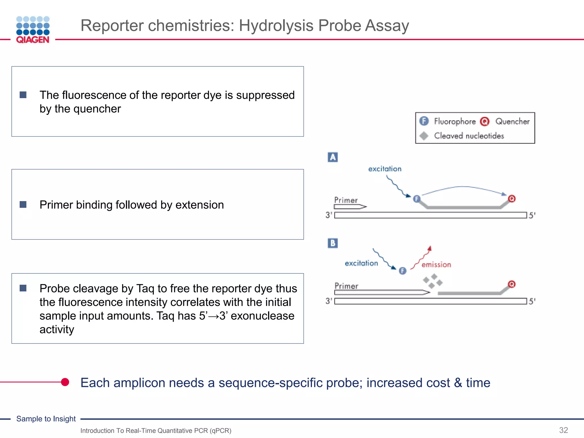 Introduction to real-Time Quantitative PCR (qPCR) - Download the slides ...