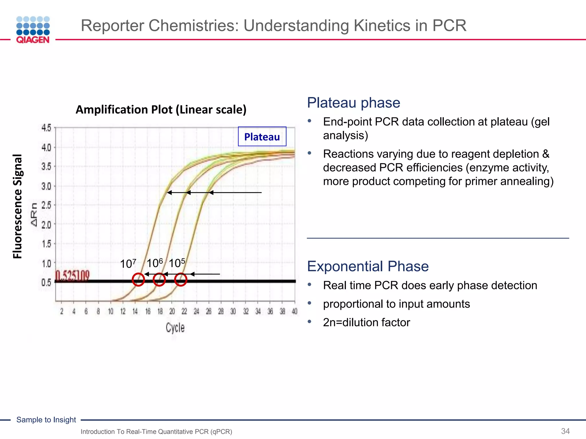 Introduction to real-Time Quantitative PCR (qPCR) - Download the slides ...
