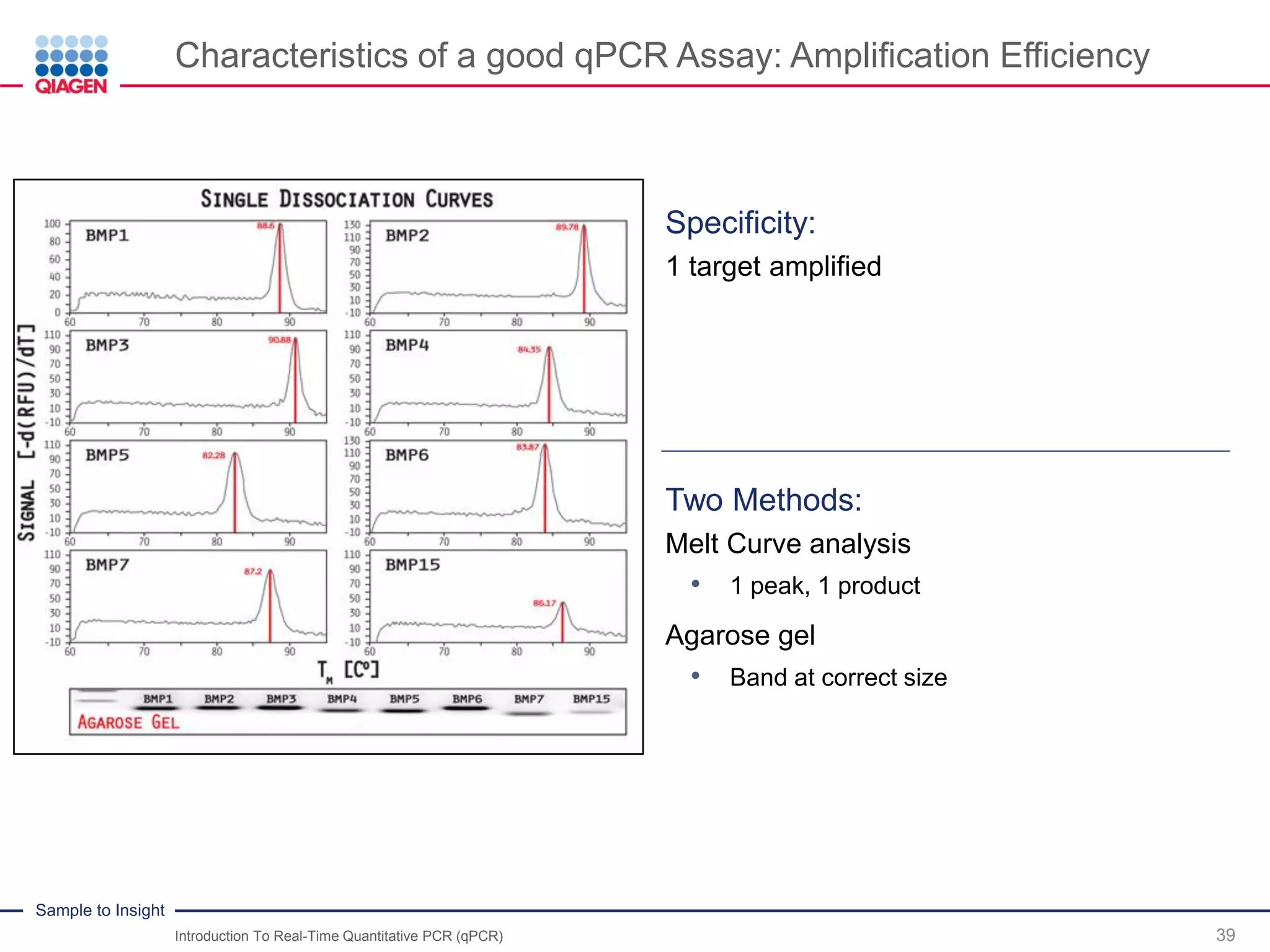 Introduction to real-Time Quantitative PCR (qPCR) - Download the slides | PDF