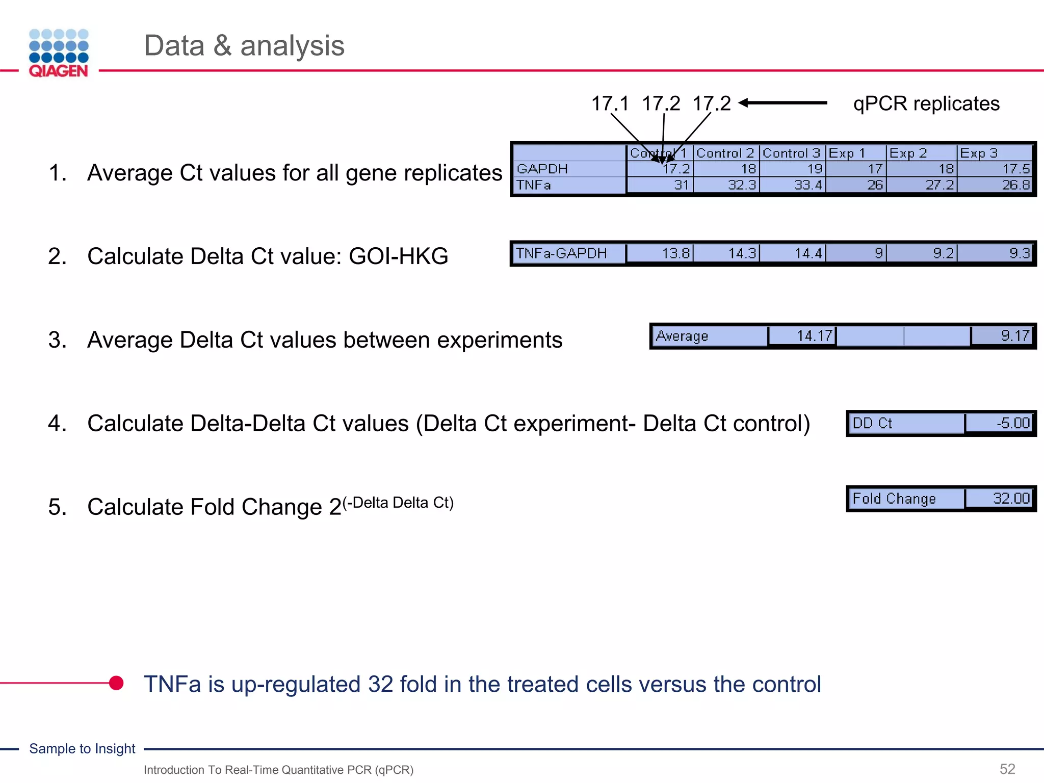 Introduction to real-Time Quantitative PCR (qPCR) - Download the slides ...