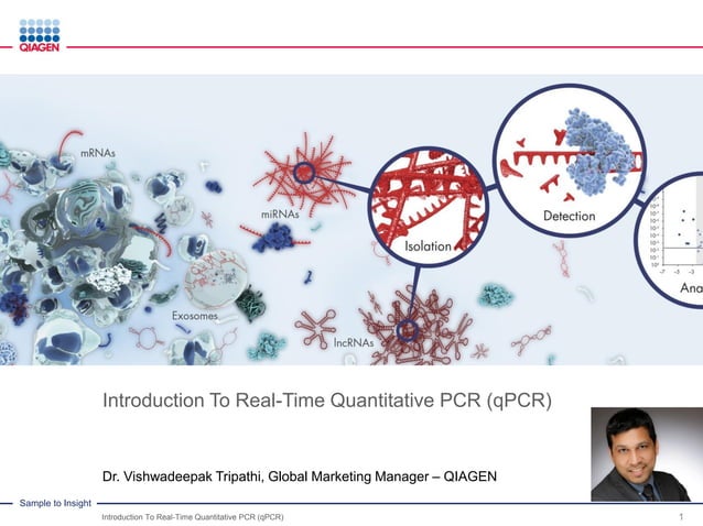 Introduction to real-Time Quantitative PCR (qPCR) - Download the slides ...