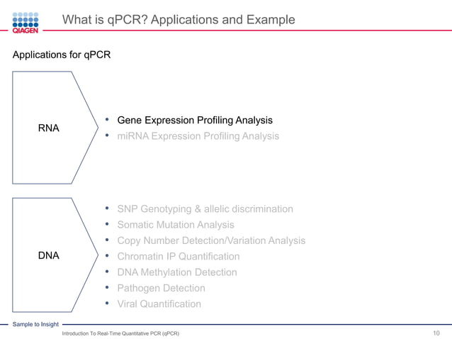 Introduction to real-Time Quantitative PCR (qPCR) - Download the slides ...