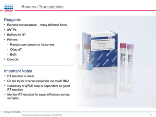 Introduction to real-Time Quantitative PCR (qPCR) - Download the slides ...