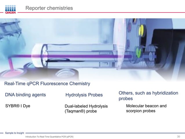 Introduction to real-Time Quantitative PCR (qPCR) - Download the slides ...