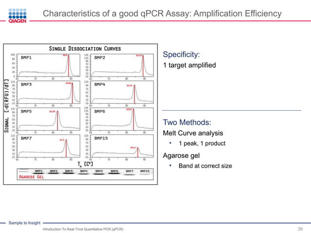 Introduction to real-Time Quantitative PCR (qPCR) - Download the slides ...