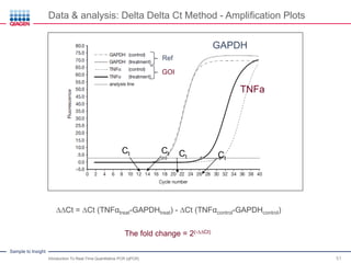 Introduction to real-Time Quantitative PCR (qPCR) - Download the slides ...