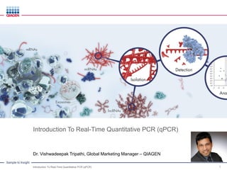 QPCR (real-time PCR) Protocol Explained, 54% OFF