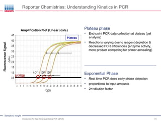 Pcr Amplification Graph