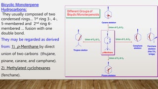 2-Terpene_Hydrocarbons_alcohols_aldehydes_and_ketones.pptx