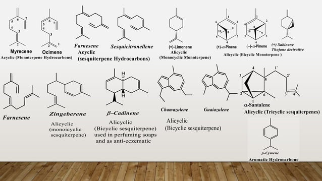2-Terpene_Hydrocarbons_alcohols_aldehydes_and_ketones.pptx