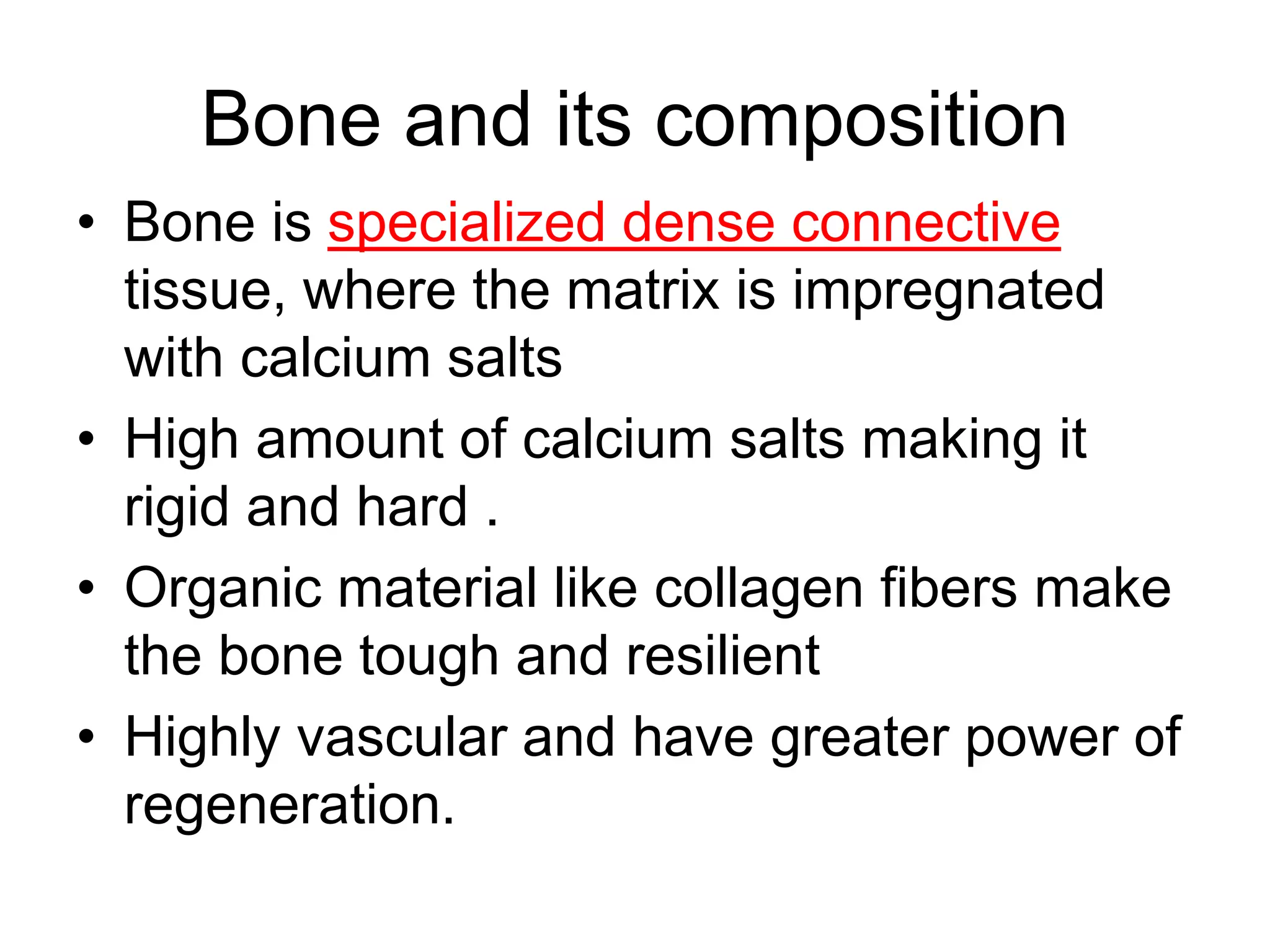 class_2_bone_type_model_college.ppt
