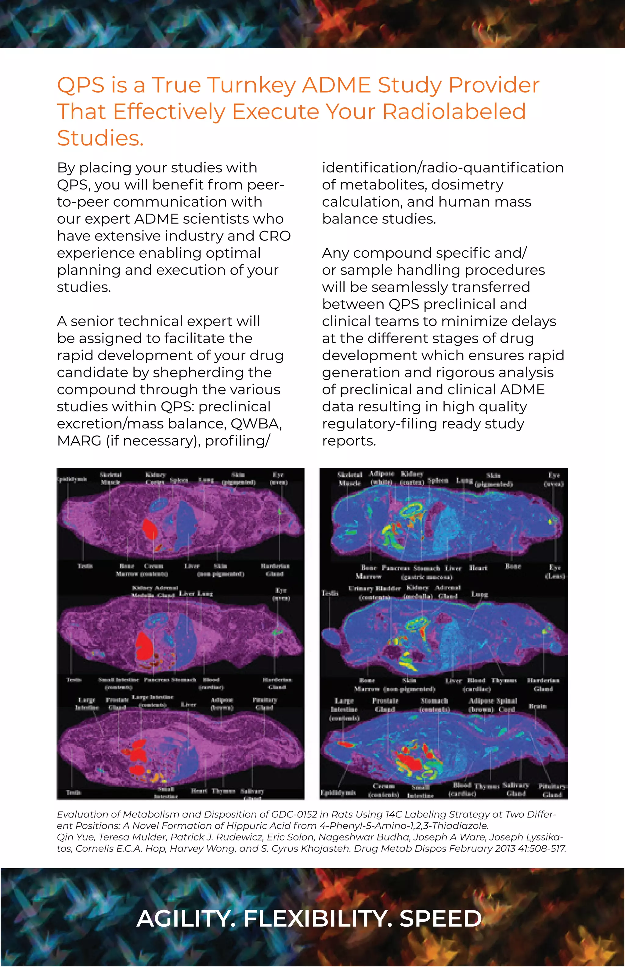 QPS Radiolabeled ADME Studies | PDF
