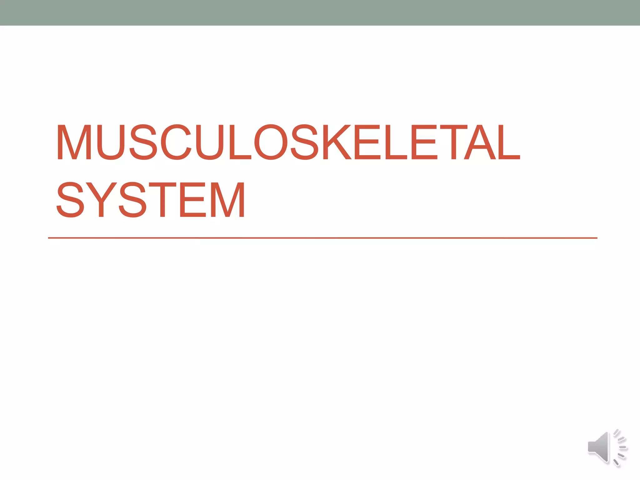 Musculoskeletal system update | PPTX