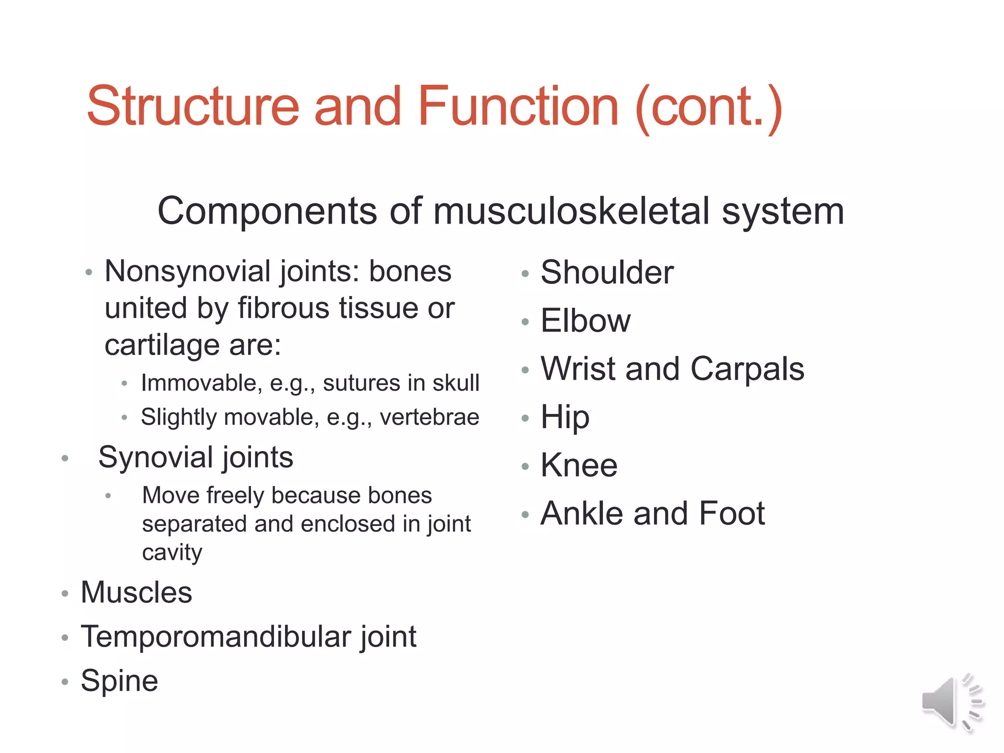 Musculoskeletal system update | PPTX