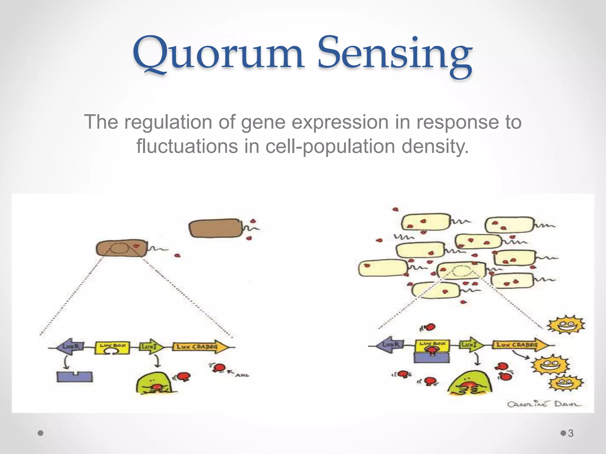 Quorum Quenching | PPTX