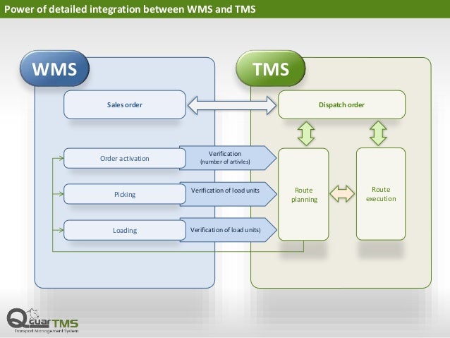 Qguar Tms English