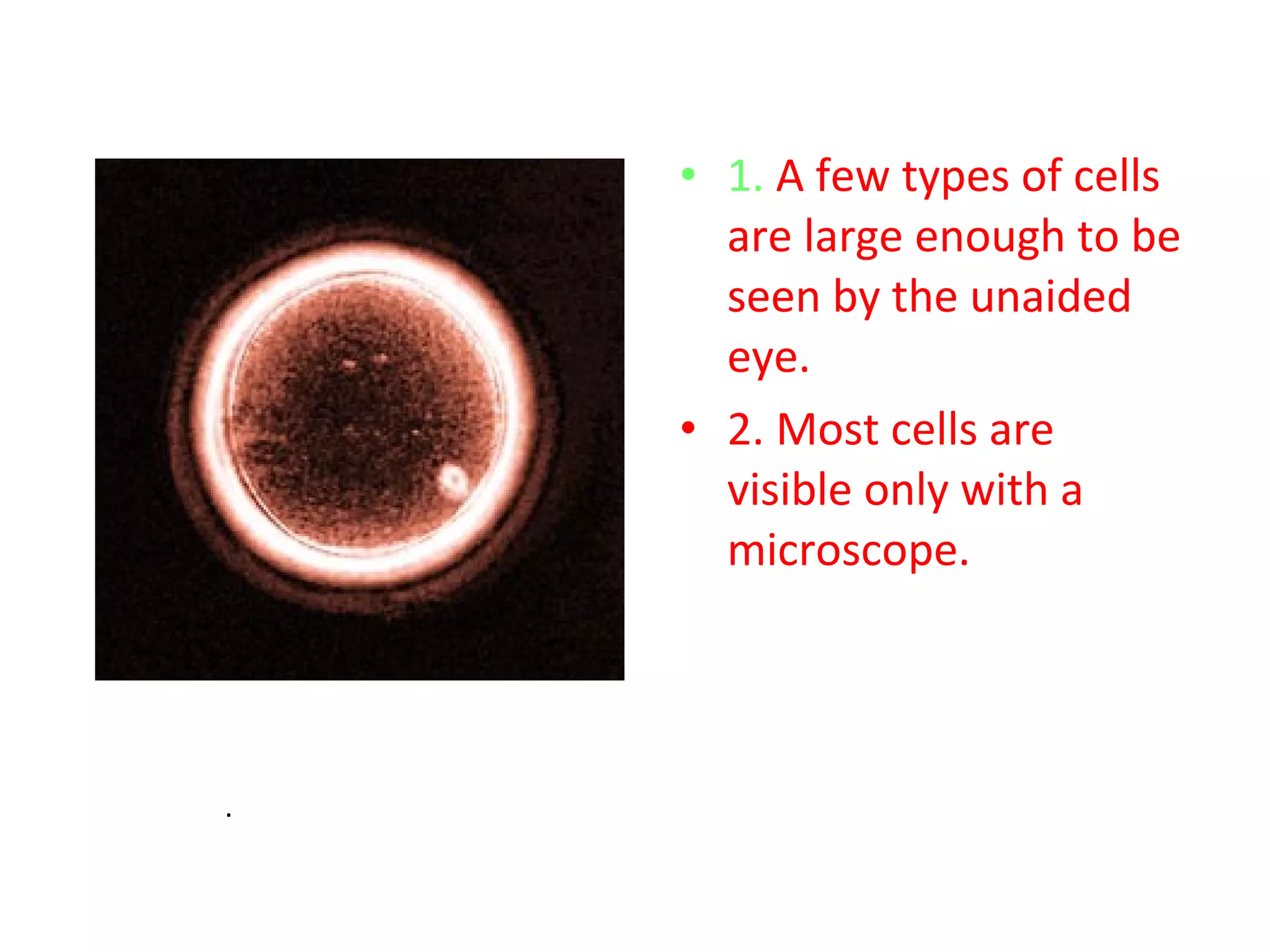 Cell introduction | PPT