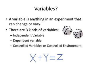 Experimental Method of Data Collection | PPSX