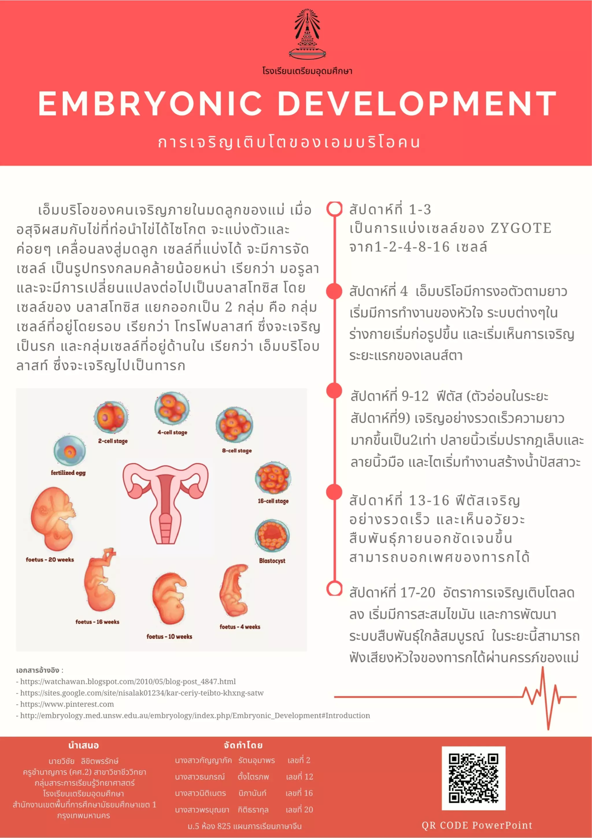 Embryonic Development poster -G7/825 | PDF
