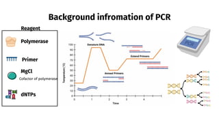 37 Types Of PCR With Definition, Principle, And Uses
