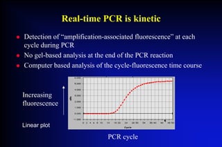 qRT-PCR Presentation.pdf