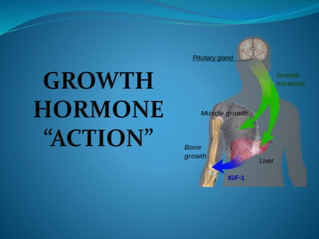 growth hormone action | PPTX