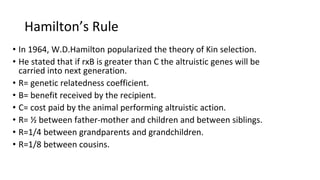 evolutionary_game_theory.pptx
