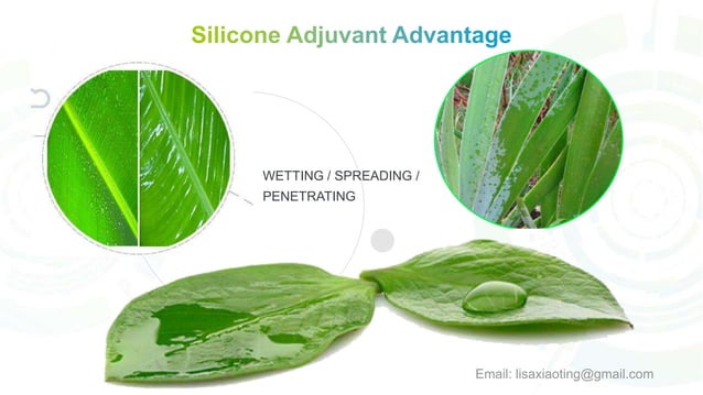 Qs 302 agricultural silicone adjuvant, coadyuvante similar to silwet ...