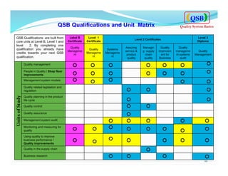 QSB Quality Institute introduction organizational excellence | PPT